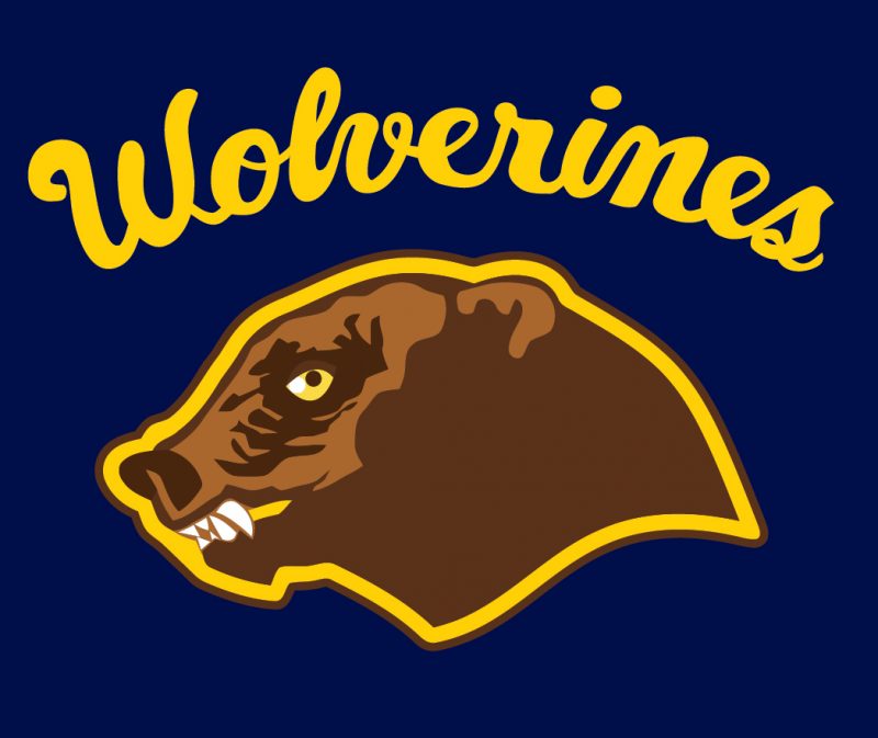 Wolverines Blue Jersey | Sublimation Kings